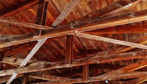 Choosing the Right Wood Components for Your Next DIY Project